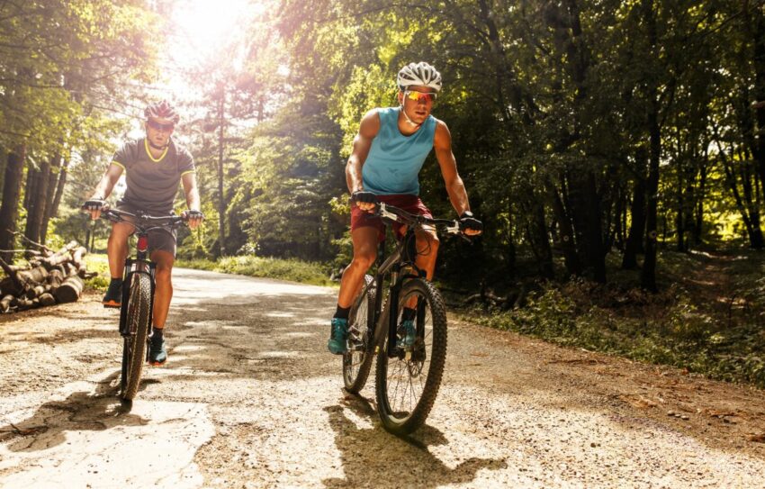 Rainforest E-Bike & Nature Walk⼁The Mill at Ward Cove