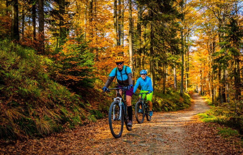 Rainforest E-Bike & Nature Walk⼁The Mill at Ward Cove