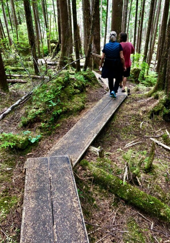 Rainforest E-Bike & Nature Walk⼁The Mill at Ward Cove