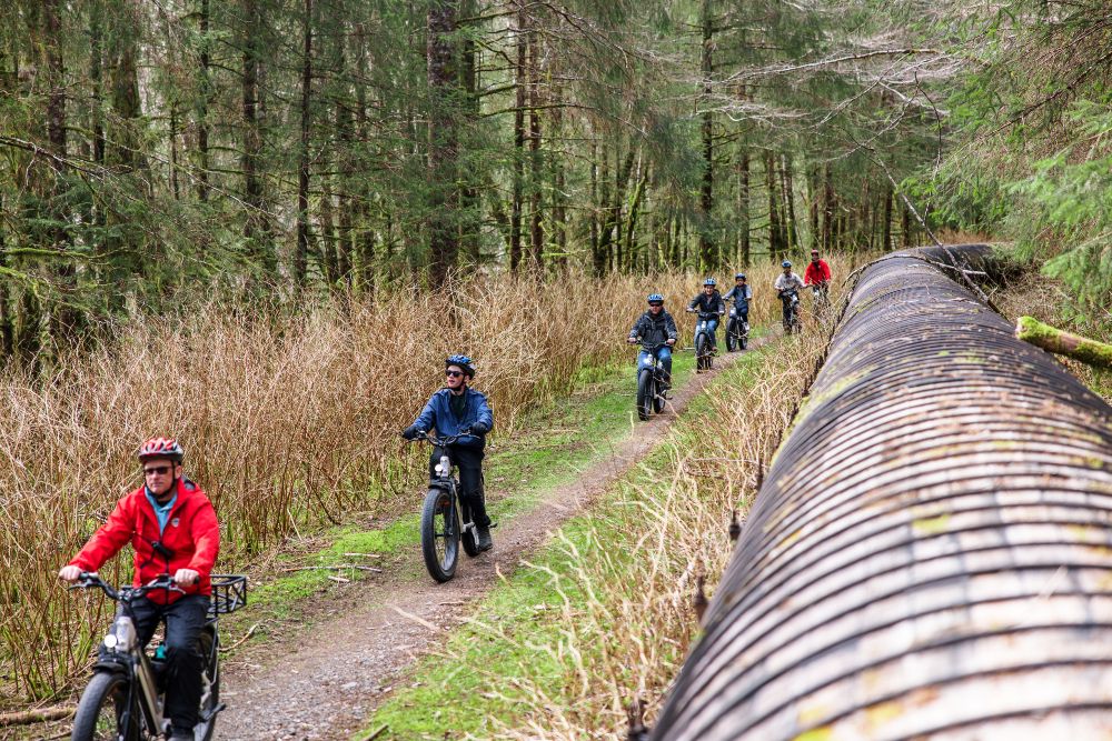 Rainforest E-Bike & Nature Walk⼁The Mill at Ward Cove
